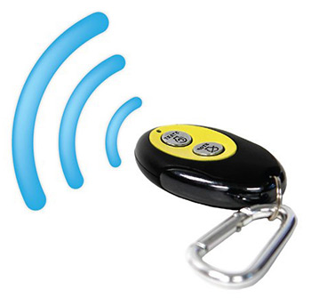 Champion Power Equipment 46539